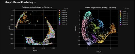 Segment Large Stained Cells With Cellpose3 10x Genomics