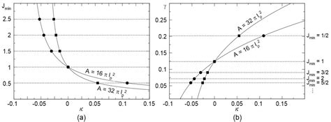 Prof Dr Bilsen Beşergil Immirzi Parametresi Immirzi Parameter