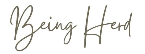 Wild Horse Herd Structure What It Teaches Us About Connection