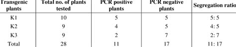 Segregation Analysis Of Transgenic Plants Produced By In Planta Download Scientific Diagram