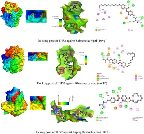 Synthesis Characterization Antibacterial Activity Of Thiosemicarbazones Derivatives And Their