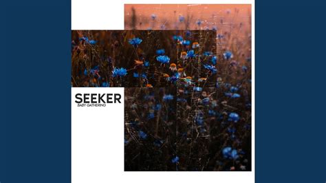 Seeker Youtube