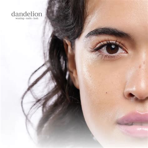 Dandelion Lash Essentials What Makes Your Lash Extensions Last Longer