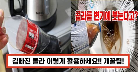 김빠진 콜라 이렇게 활용하세요 꿀팁 꿀팁모아