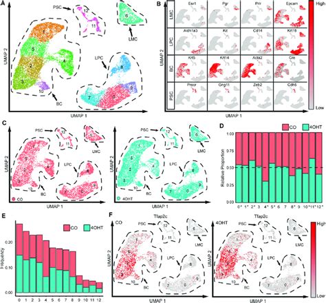 Scrna Seq Analysis A Experiments Were Performed In Two Independent Download Scientific