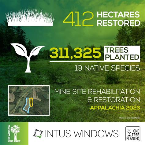 Intus Windows On Linkedin Onewindowonetree