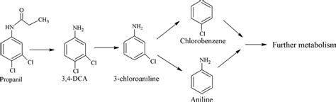 Proposed Propanil Degradation Pathway Of Mixed Culture Of Geobacter Sp Download Scientific