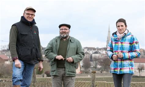 Boisson Vadot La Touche De Nouveauté à Mersault