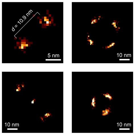 Fluorescence Microscopy Resolution Boosted By Factor Of 30 Bioscan