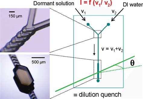 Schematic Representation Of The Microfluidic Chip Coupled With Online