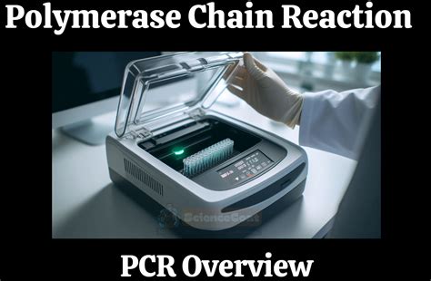 Polymerase Chain Reaction Pcr Overview