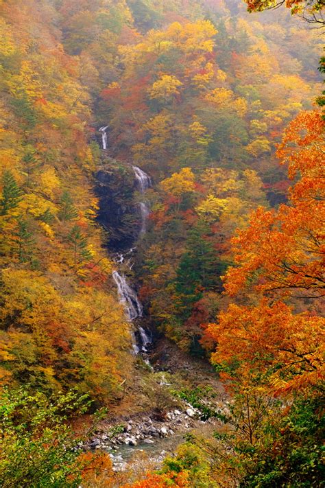 蛇王の滝 by mitsujun ID4976869 写真共有サイト PHOTOHITO