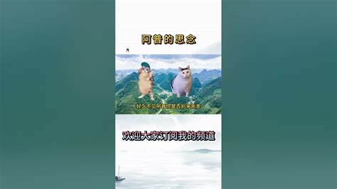 抖音网红诺米的歌曲《阿普的思念》 搞笑 Funny Memes 熱門rapper Rappers Youtube