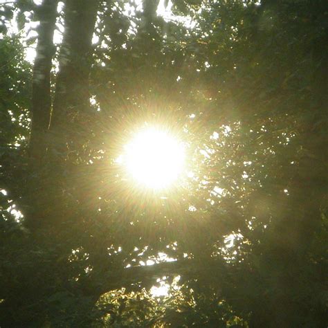 Count The Wind The B Brain