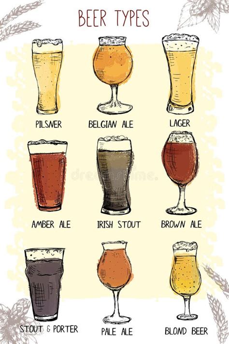 Set Of Hand Drawn Beer Glasses Types Stock Vector Illustration Of