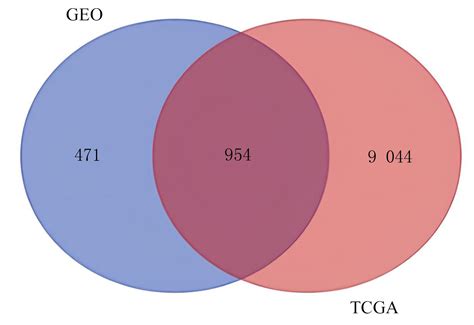 基于geo和tcga数据库对肺腺癌差异表达基因的生物信息学分析