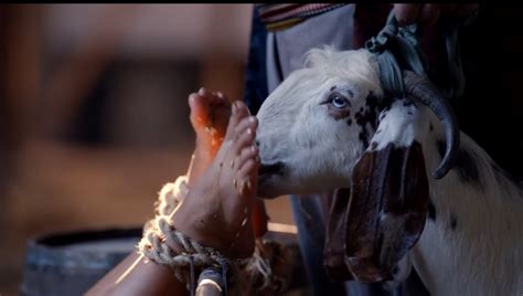 Yonca Sahinbass Feet