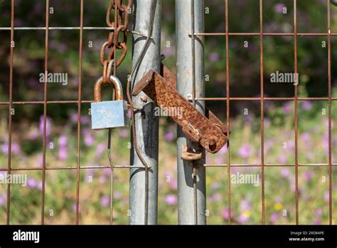 Detail Of Locking Area Of Industrial Exterior Gates With Chain And