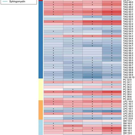 Heatmap Visualization Based On Spearman Correlation Between Variables