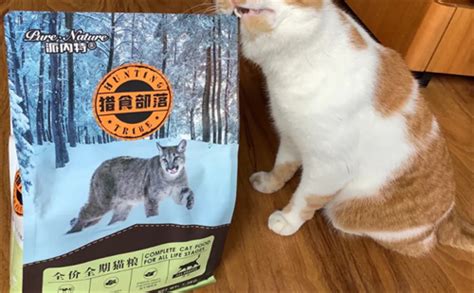 派内特猫粮配料表 派内特猫粮测评 派内特猫粮官网
