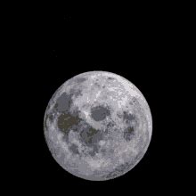 Full Moon Meme S Tenor