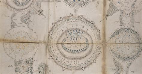 Voynich Manuskript Middelalderbok Handler Om Sex Historienetno
