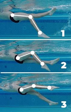 Nager Le Dos Crawlé Le Guide Complet par un Nageur Pro 2020 Nager
