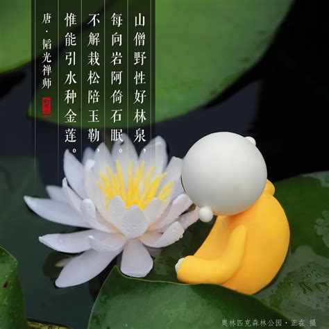 【贤二美图福利】一片征帆，万里风凤凰网
