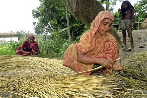 Jute Definition Properties Uses Cultivation Products Britannica