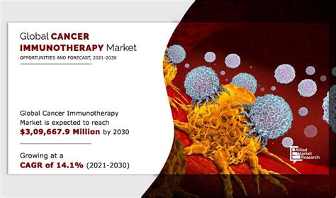 Cancer Immunotherapy Market Size Share And Growth Report 2030