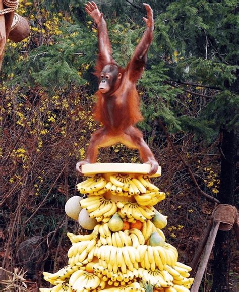Blursed Art R Monke