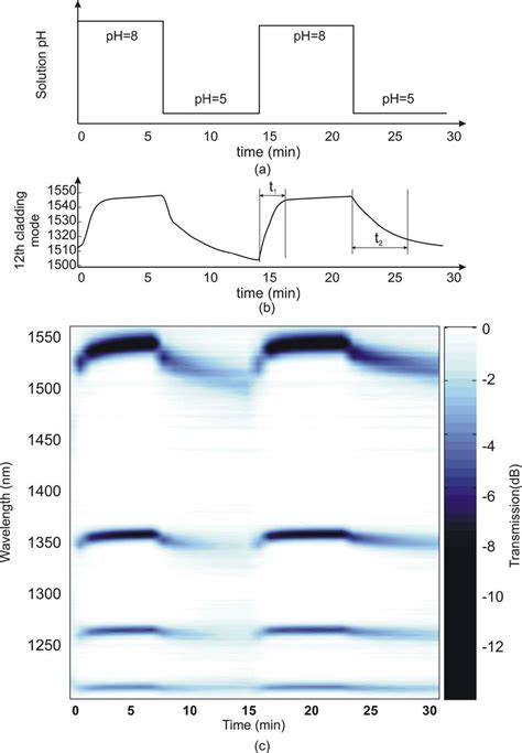 Dynamic Ph Response Of Pahpaa Sensor A Phs Of The Buffers B
