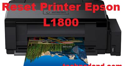 Tutorial Reset Printer Epson L1800 Dengan Mudah Menggunakan Reseter