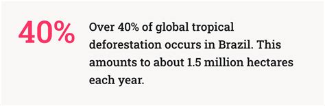 222 Deforestation Topics For Essays Research Papers And Speeches