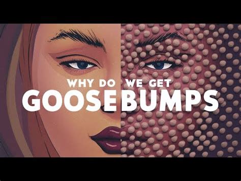 Why Do We Get Goosebumps Are They Usefull ALIZO FACTS YouTube