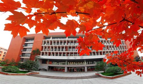 母校来电！文华学院发布二十周年校庆公告 极目新闻