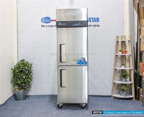 Tủ đông đứng 2 Cánh Bigcool Hiện đại Giá Tốt