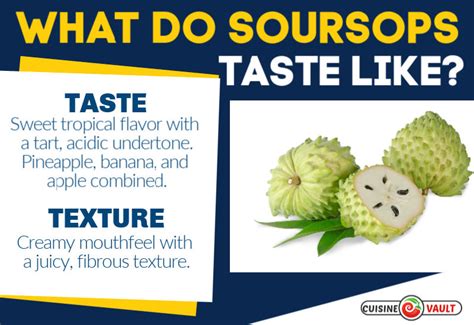 What Does Soursop Taste Like Quick Facts