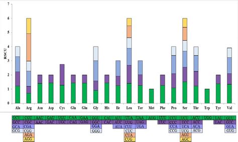 relative synonymous codon usage rscu values for amino acids of t