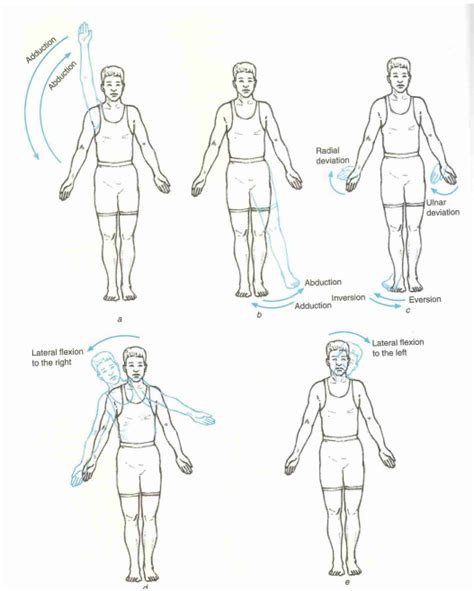 Planes Of Motion — Arrow Physical Therapy Seattle