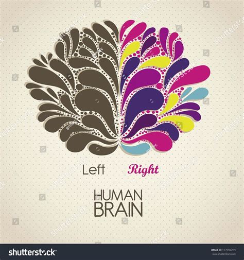 Illustration Human Brain Lobes Functions Vector Stock Vector Royalty Free