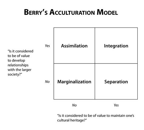 Acculturation Model American Robotnik