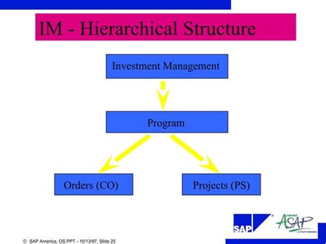 Org Structure Sap