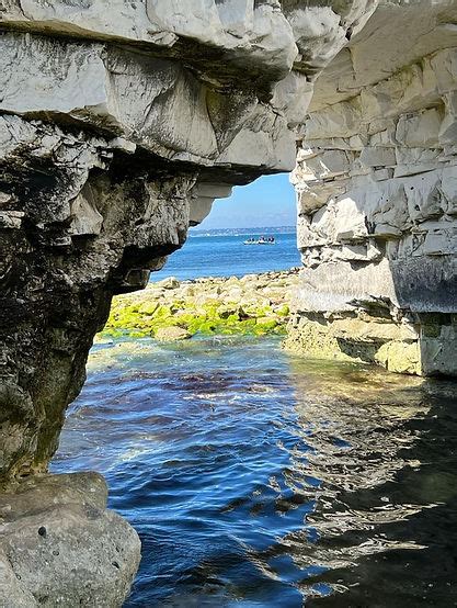 Guided Swims Wild Swim Adventures