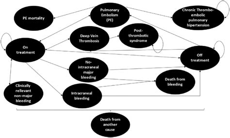 Model Structure For Each Simulated Cancer Patient The Different Vte