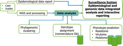 Process Overview Wgs Data Production Analysis And Integration With Download Scientific