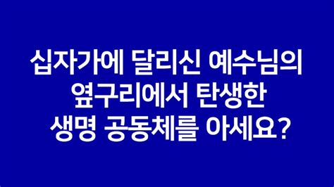 주일 설교 요약 십자가에 달리신 예수님의 옆구리에서 탄생한 생명 공동체를 아세요 Youtube