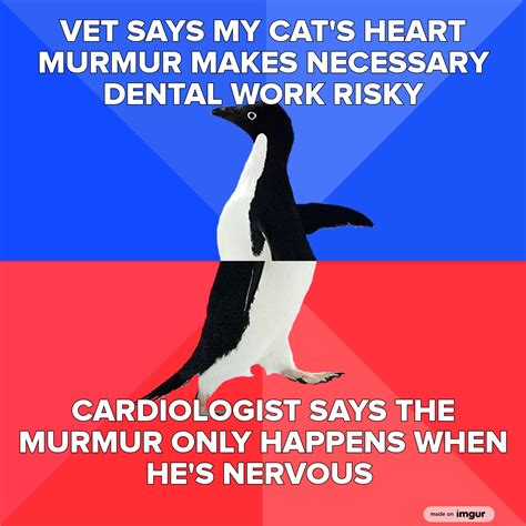 Imgur The Magic Of The Internet