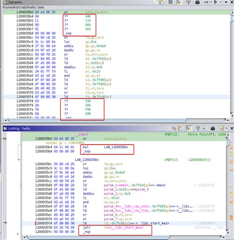 Debugger Dynamic Listing Cant Disassemble Instructions Before Delay