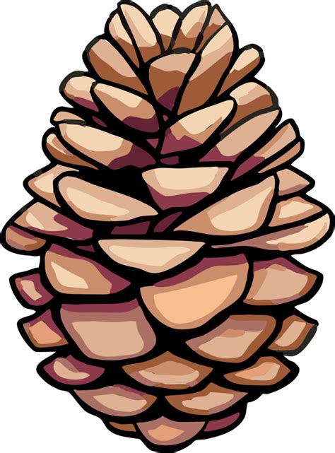 Pinho Cone Png Gráfico Clipart Projeto 24045743 Png